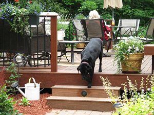 6 Tips for Dog-Friendly Deck Design