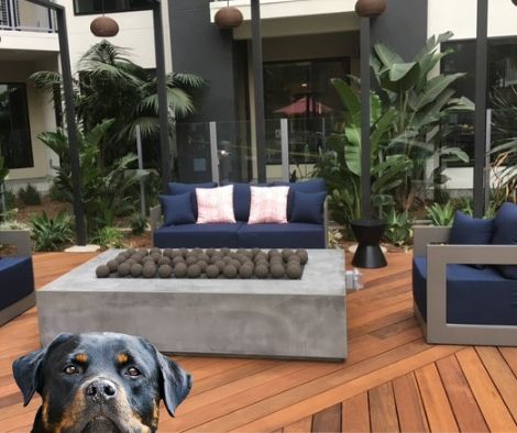 6 Tips for Dog-Friendly Deck Design