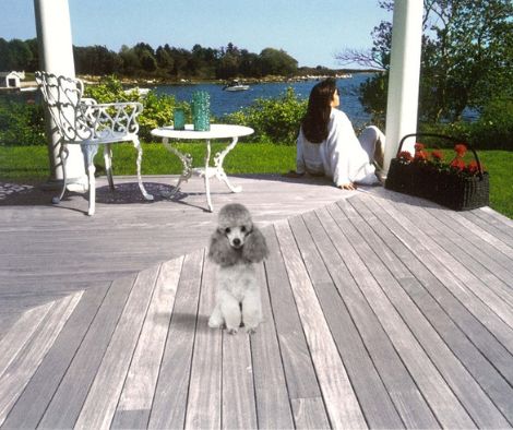 6 Tips for Dog-Friendly Deck Design
