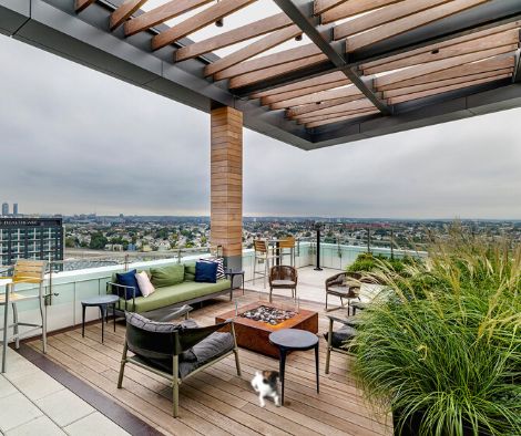 6 Tips for Dog-Friendly Deck Design