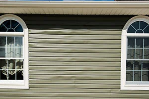Pros and Cons: Vinyl Siding vs Pura NFC Siding by Trespa